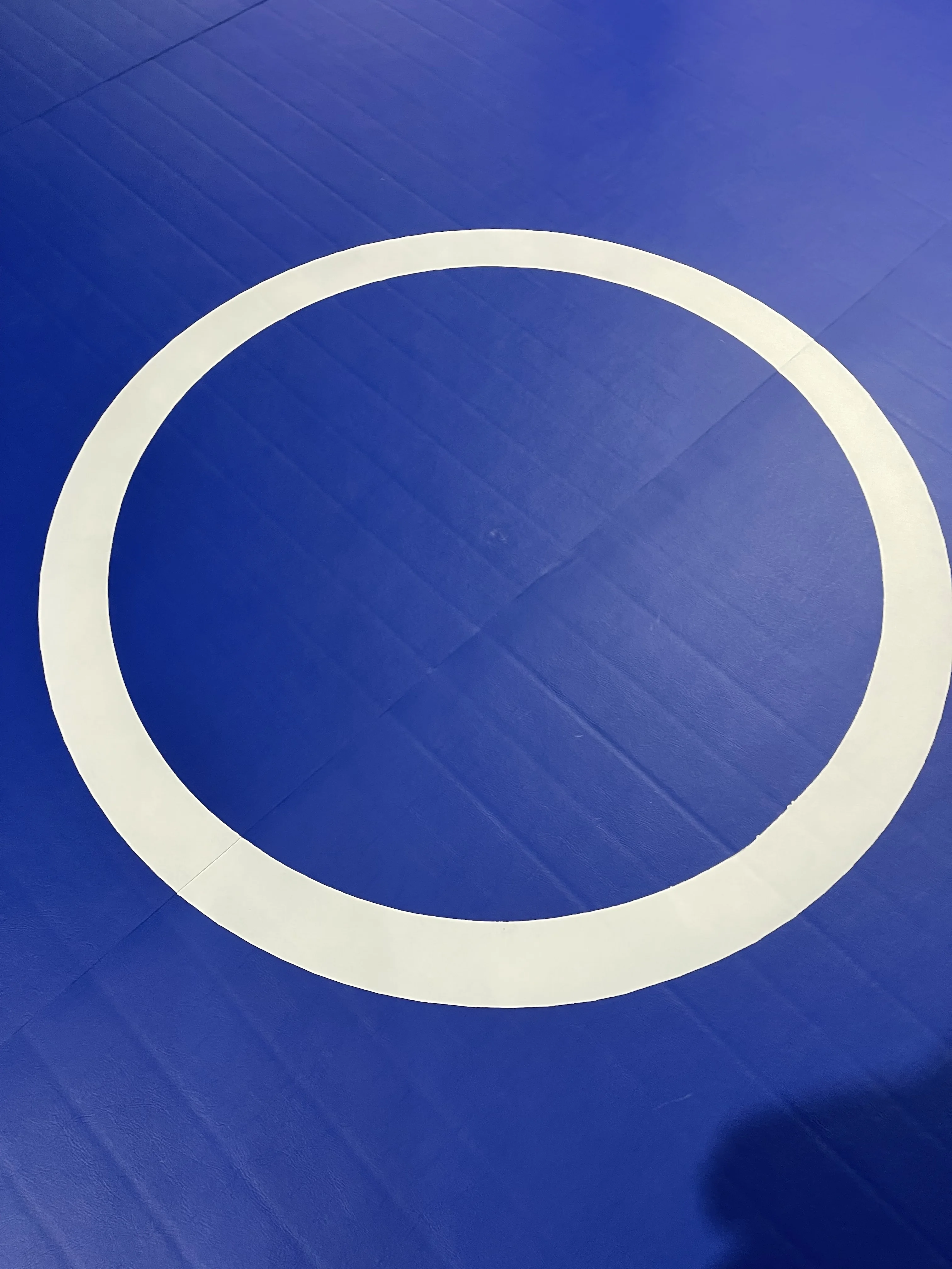 Thicken Foam Boxing Mats Muay Thai Roll Mat Flexi Roll Mats For ...