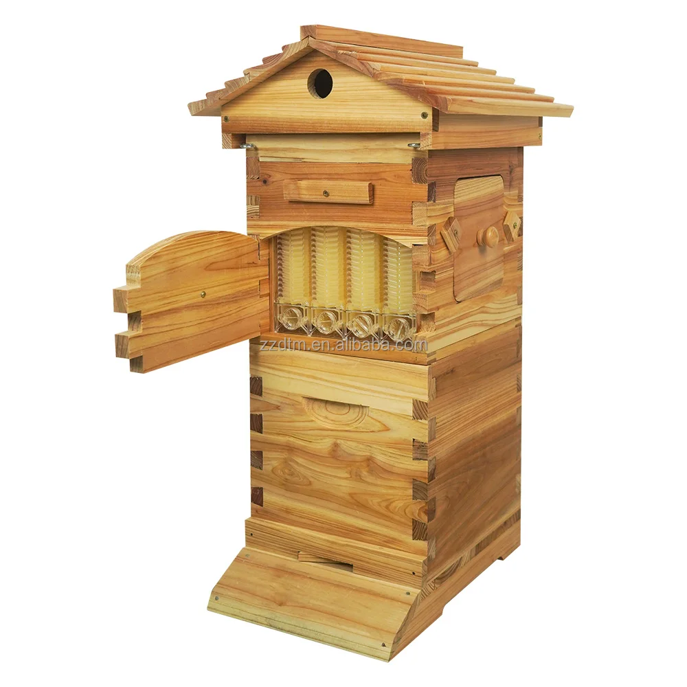 Piculture Complete Auto Beehive Starter Mini Auto Flowing Honey Hive ...
