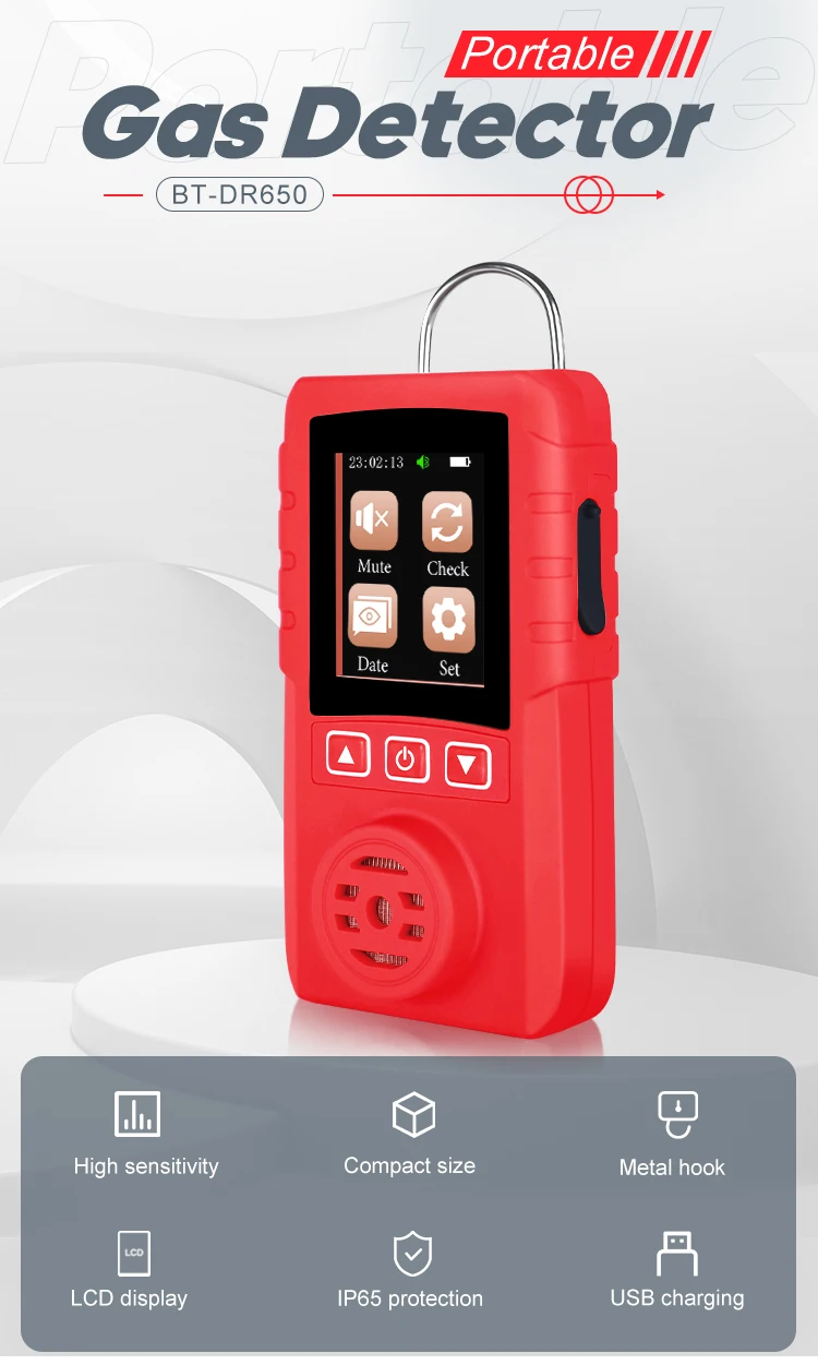 RTTPP DR650 Single Toxic and Combustible Gas Detector Sensitive O2 / CO ...
