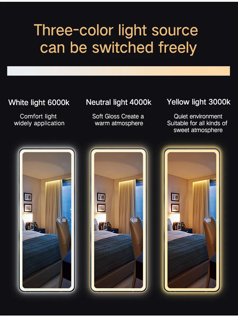 Modern Smart Full Length Dressing Mirror With Lights Touch Sensor Wall ...