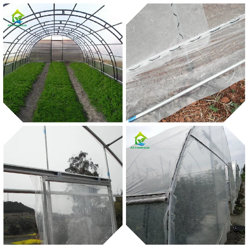 Agricultural Greenhouses - Efficient Snail Tunnel Solutions