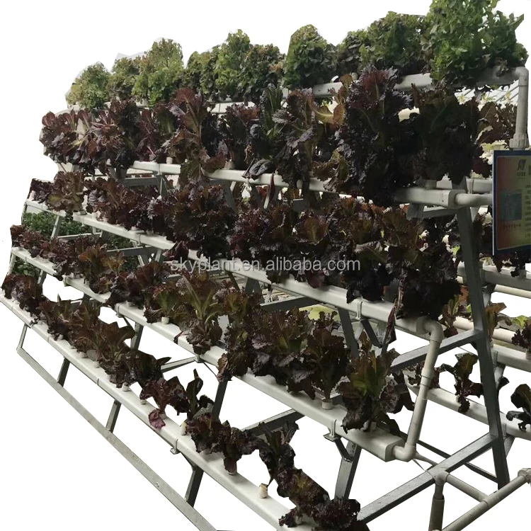 Large a Vertical Hydroponic System | Multi-Layer Home Solution for ...