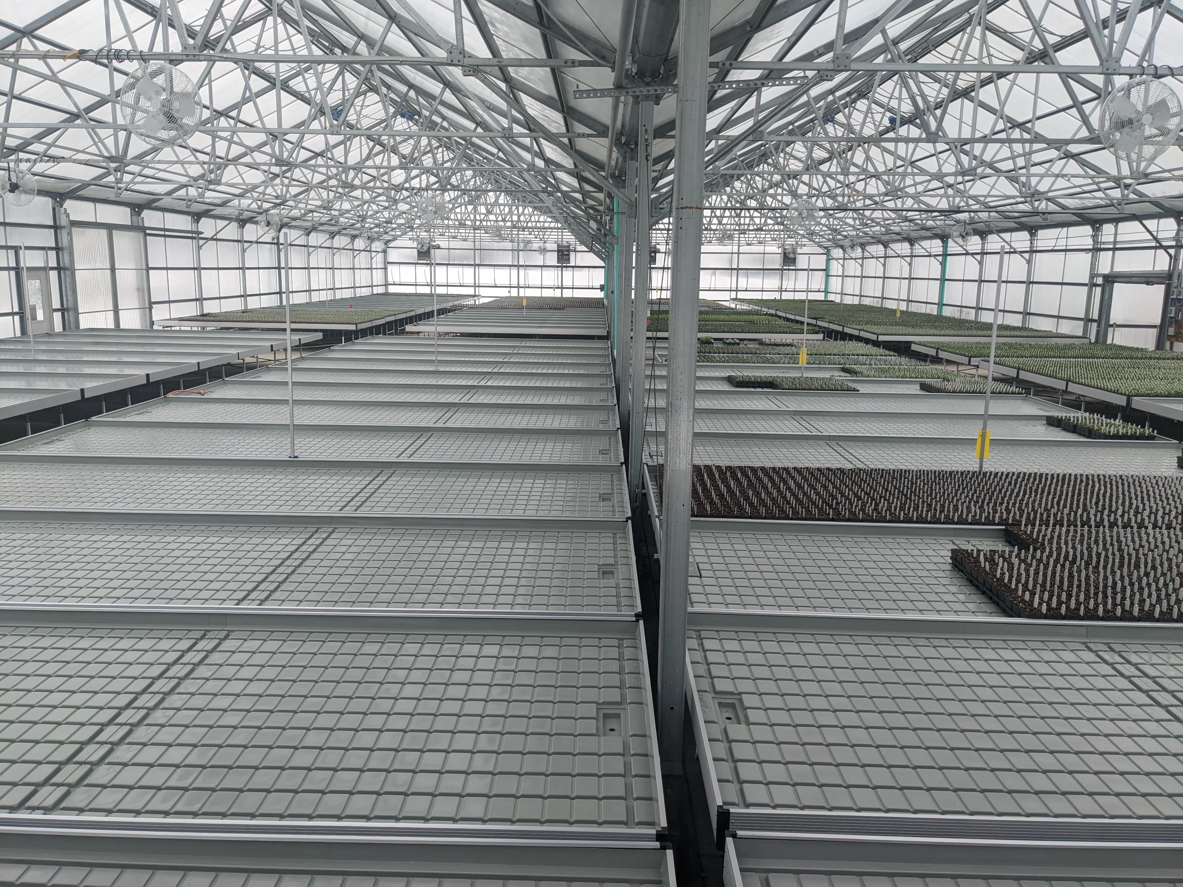 Rolling Bench System Rolling Benches Greenhouse Rolling Benches For ...