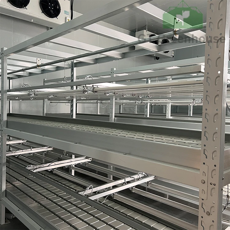 GT Mobile Vertical Grow System - Efficient Growing Solutions