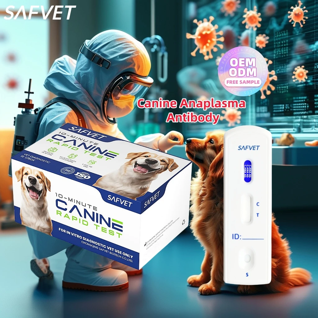 Canine Anaplasma Ab Antibody (Ana Ab) Rapid Test Strip| Alibaba.com
