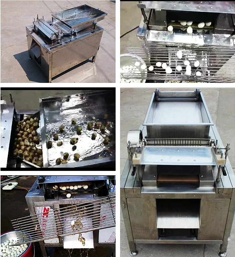 Factory Supply Quail Egg Shell Removing Crushing Peeling Machine - Buy ...