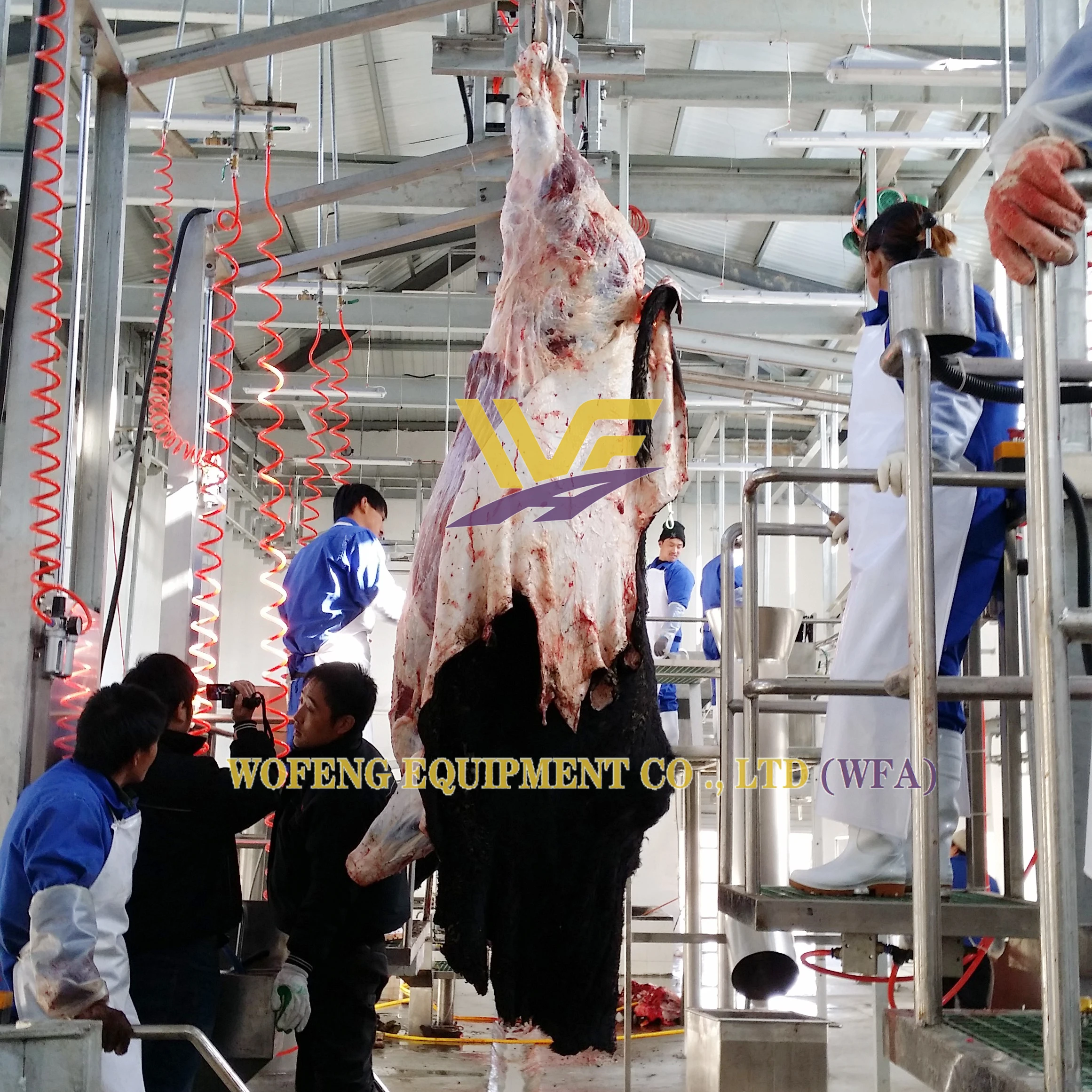Halal Beef Slaughter Machine Cattle Slaughterhouse Line Cow ...