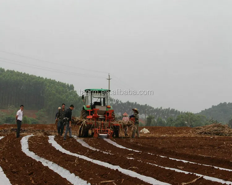 Automatic Sugar Cane Transplanter Planter Cultivator for Sugarcane ...