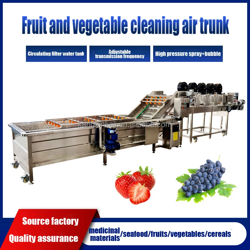 Efficient Fruit & Vegetable Washing Machines - 1 Year Warranty
