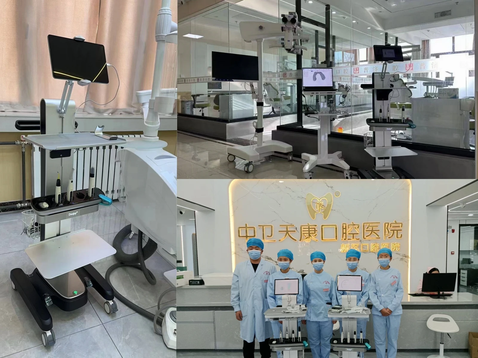 Dental Root Canal Integrated Therapy Instrument With Cart Endo ...