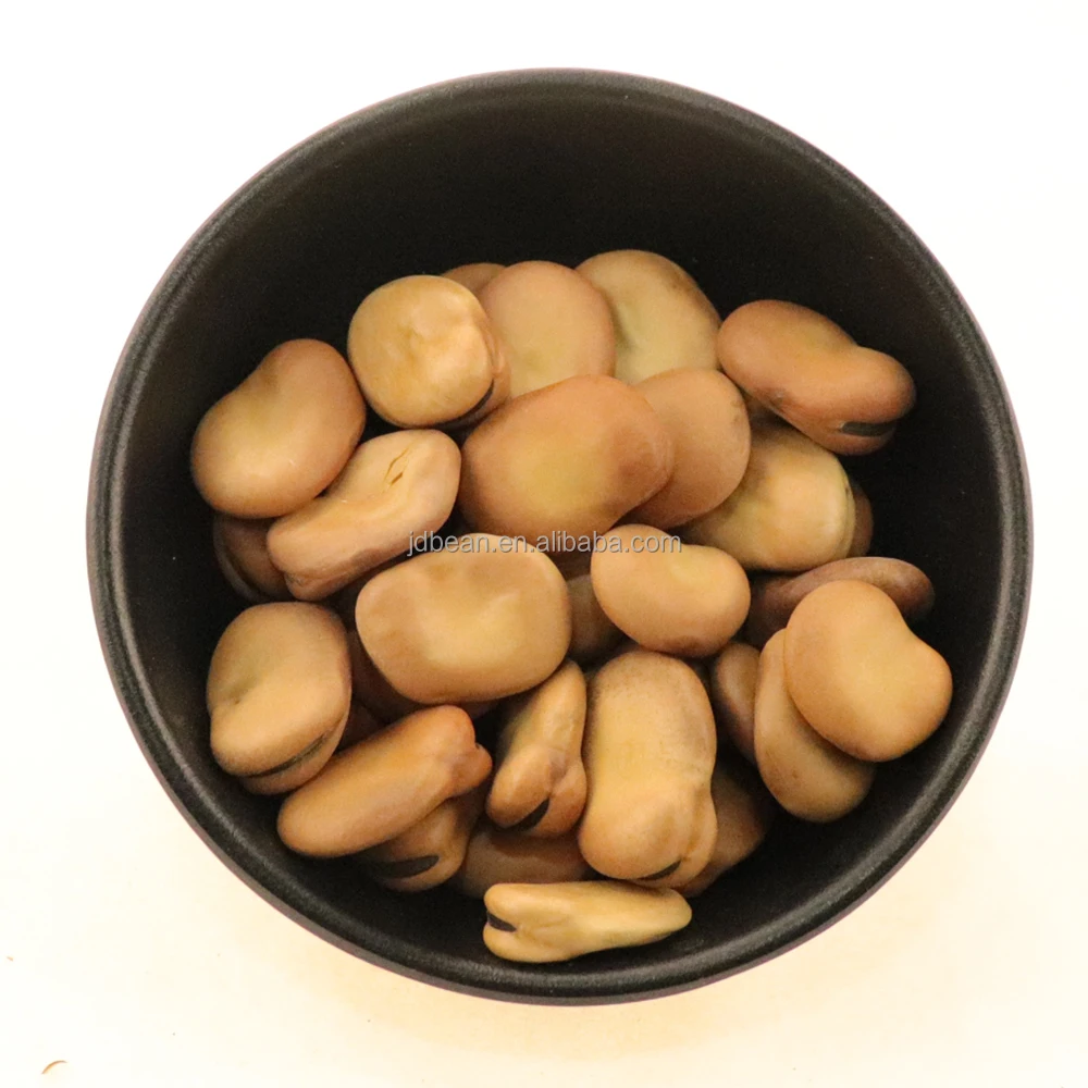 Alibaba.com: High Quality Organic Dry Bean, Different Types of Broad ...