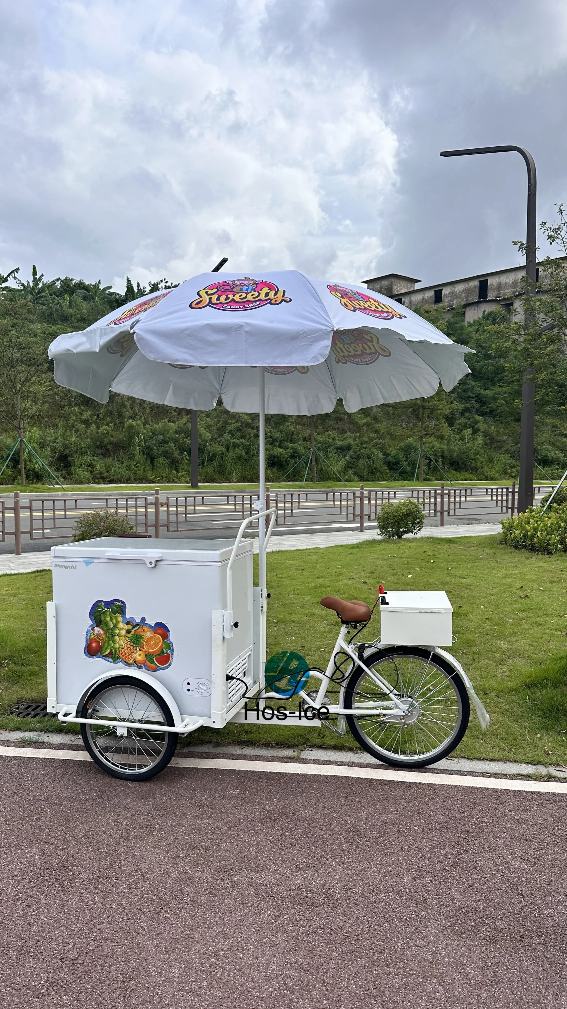 Outdoor Ice Cream Popsicle Vending Bike - Electric Mini Freezer