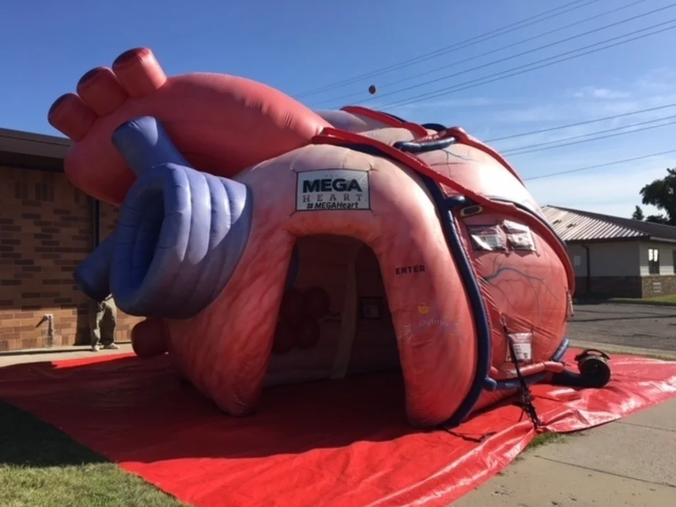 Giant Inflatable Organ Heart Model - Perfect for Medical Exhibitions