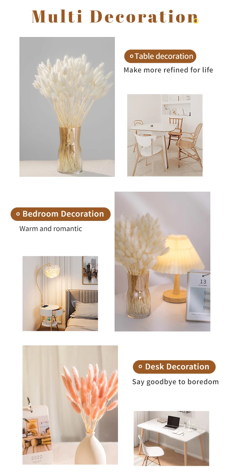 Luxury Home Decoration Bunny Tails Dried Flowers Grass Original Lagurus ...