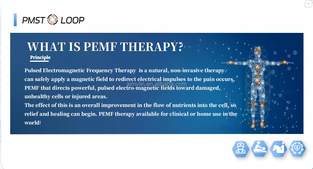 Non-invasive Portable Magnetic Single and butterfly Loop PEMF Therapy ...
