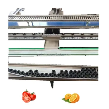 Small Food Weight Checker Grading Machine Fruit Vegetable Weight ...