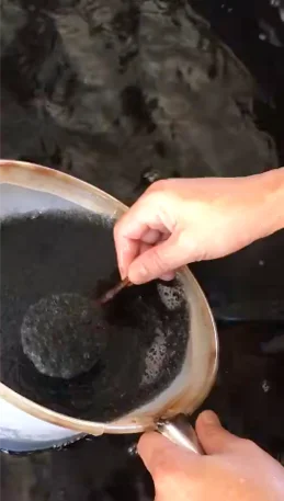 Automated Shrimp Seedling Counter For Shrimp Hatcheries - Buy High ...