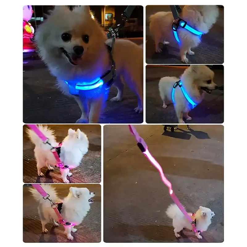 Wholesale Rechargeable Light up Dog Belt Adjustable Vest Chest LED Pet ...