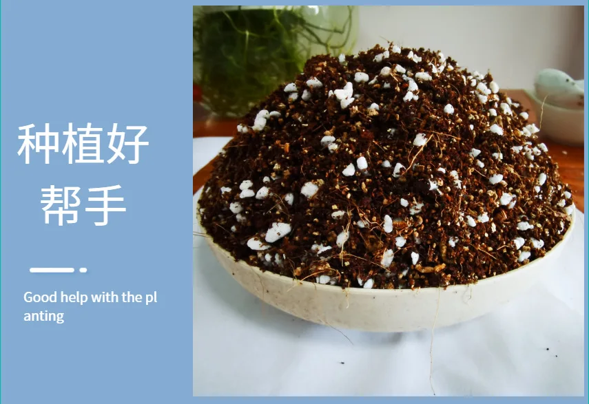 Mixed Nutrient Soil Coconut Shell Brick Ceramsite Flower Pot ...