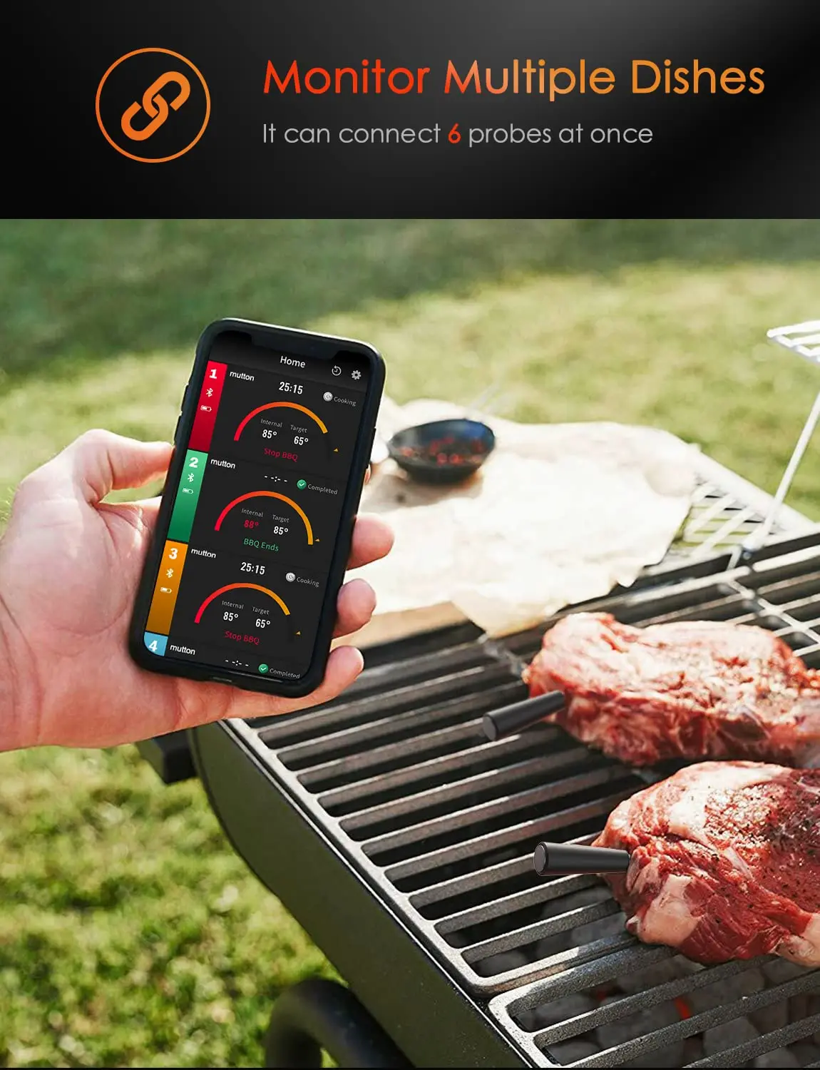 Double Probe Digital Wireless Kitchen Meat Food Thermometer Outdoor BBQ ...