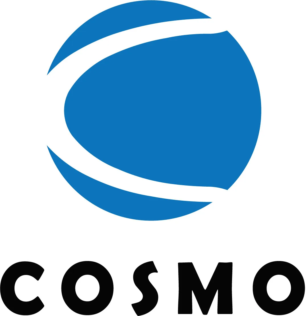 Company Overview - Shanghai Cosmo Display Co., Ltd.