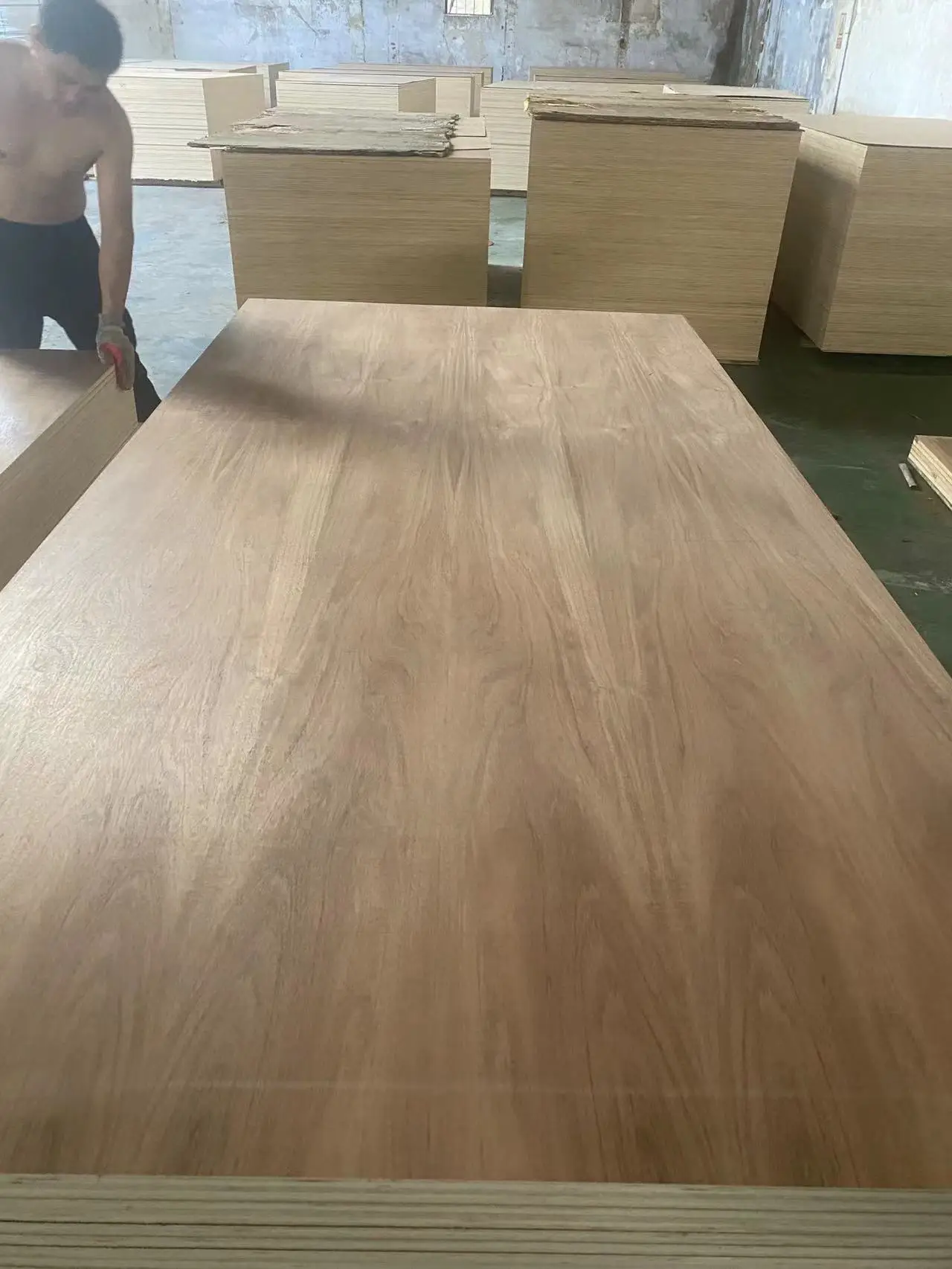 Parota/tzalam Triplay Tzalam MDF to Mexico - Premium Plywood
