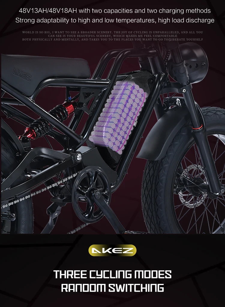 AKEZ 1500W Adult Stealth Bomber E-Bike - 48V Lithium Battery