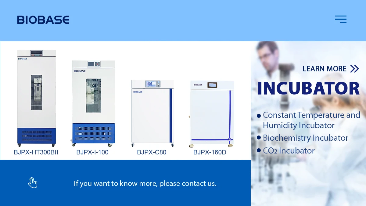 Biobase Laboratory Use Water Circulating Vacuum Drying Oven - Buy ...