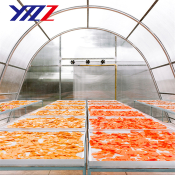 Energy-saving Solar Food Dryer For Vegetable Fruit Fish Meat Dryer ...
