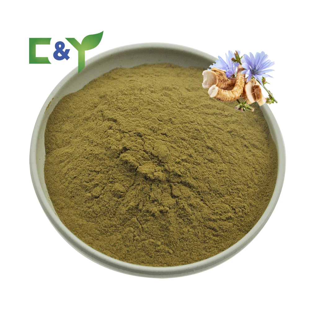 Chicory Root Extract - High-Quality Freeze Dried Coffee Inulin