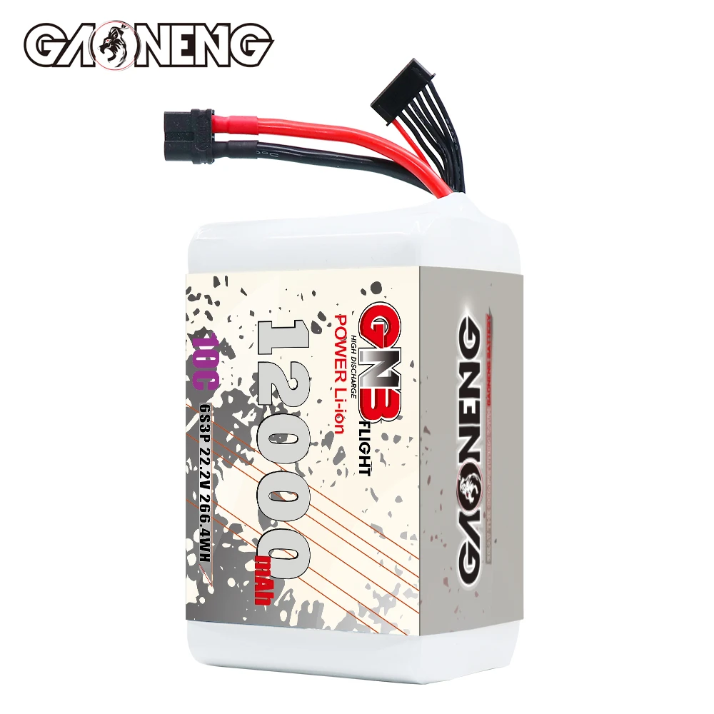 Gnb Gaoneng 6s 10000mah 22.2v 10c Xt60 Li-ion Lithium Ion 21700 Cell Rc ...