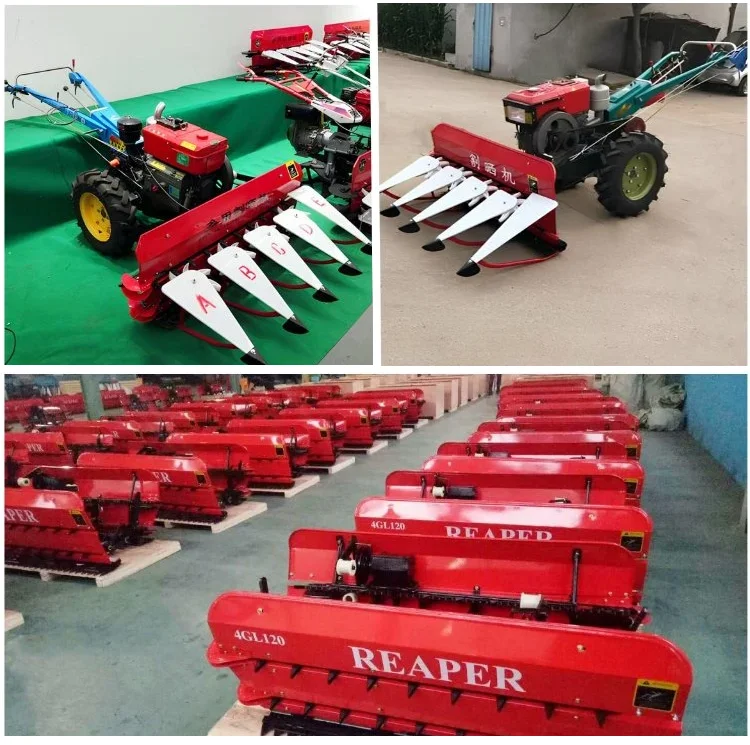 Hot Selling Boaz Mini Combine Harvester for Corn, Grain, and More ...