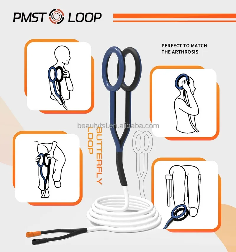 Pemf Therapy Physio Equipment Pemf Horse Pmst Loop With X-wing Double ...