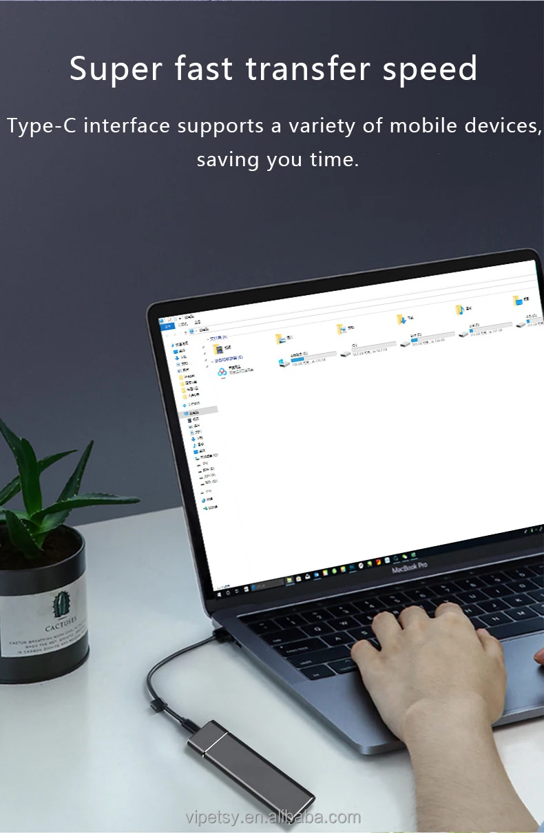 Vipetsy Portable SSD Hard Disk - 1TB Metal Hard Drive