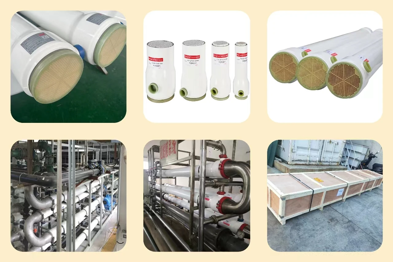 Bioreactor System Tubular UF Membrane Module - Risingsun Membranes