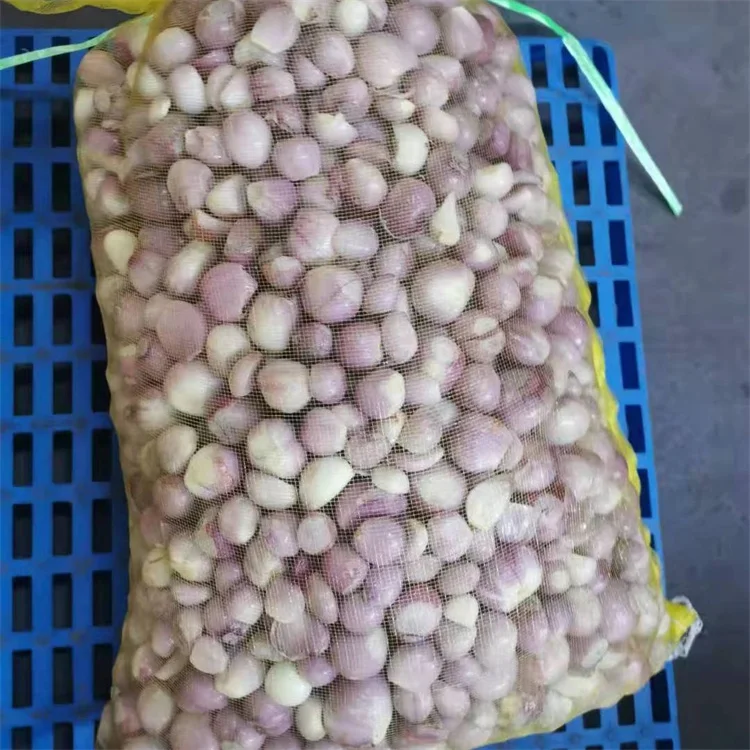 Fresh Red Shallot Small Size with Higher Spicy Flavor Bulk Packing ...
