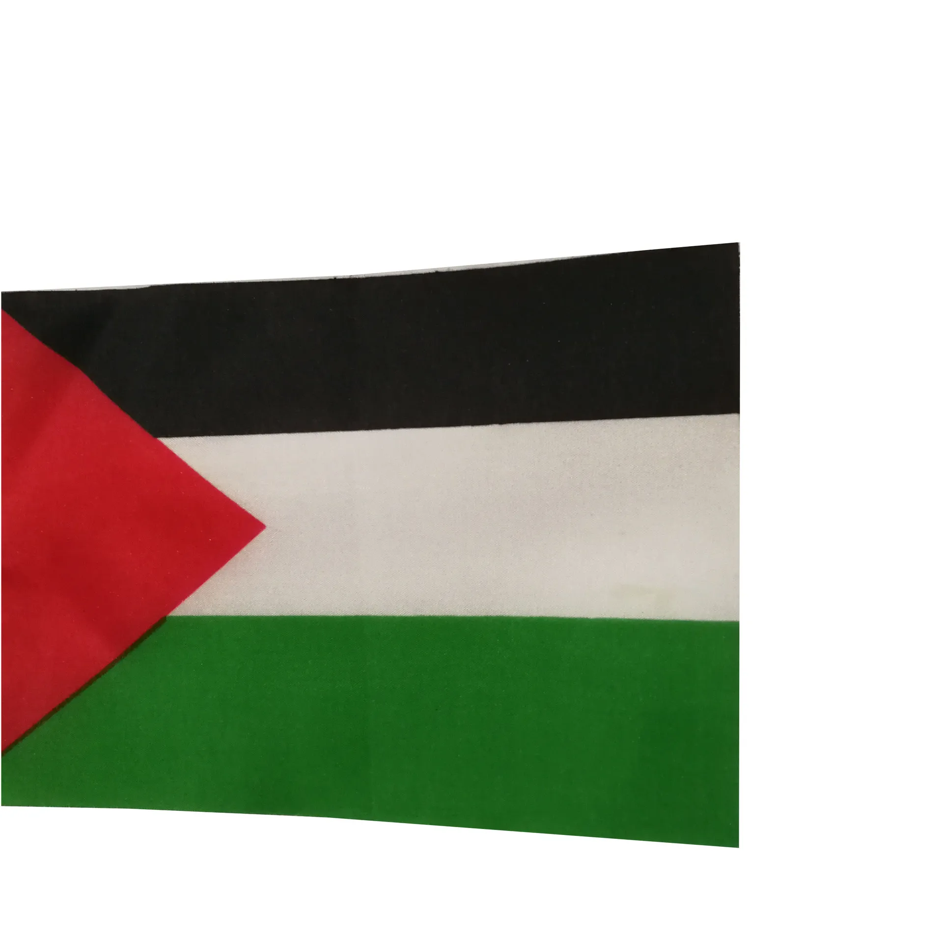 Bendera Palestina - 90*150cm, 14*21 tiang Bendera Palestina yang Dikibarkan