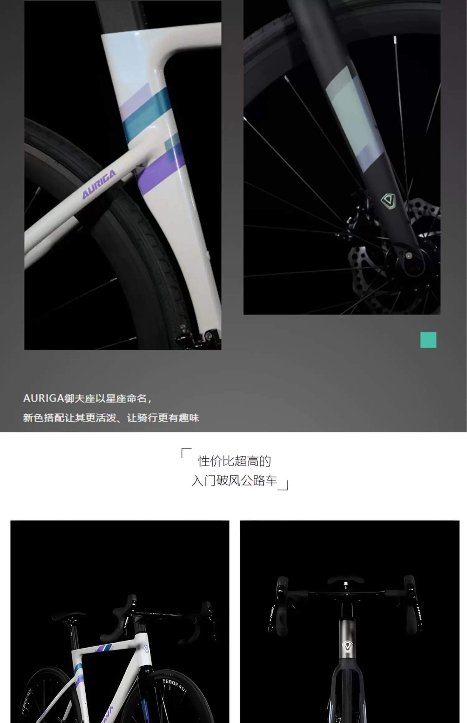 2025 Java AURIGA Road Bike - Racing Performance & Durability