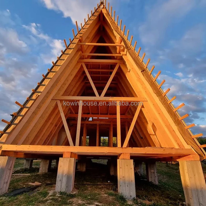 Luxury Modern Design Triangular House - Modular & Eco-friendly