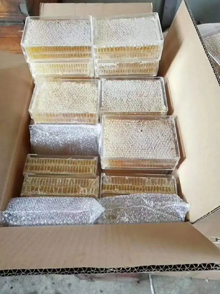 250g Honey Comb Box with Wax Foundation - Bee Farm Essentials