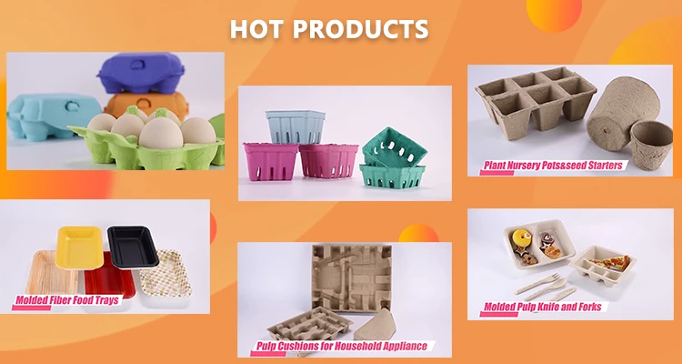 Custom Biodegradable Stand Grease-proof Paper Pulp Mold Tray With High ...