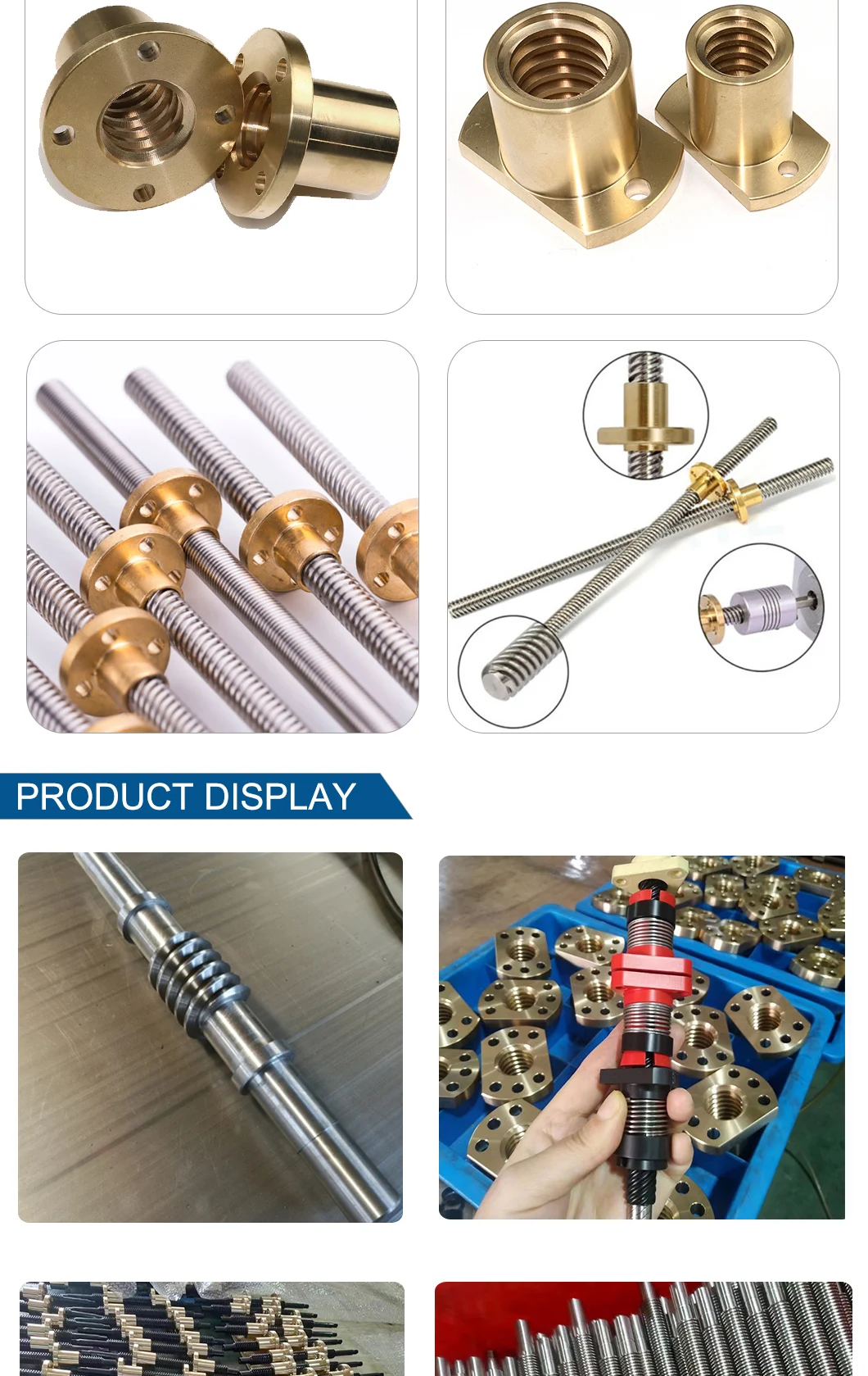 Stainless Steel TR8 Trapezoidal Screw - Precision & Durability