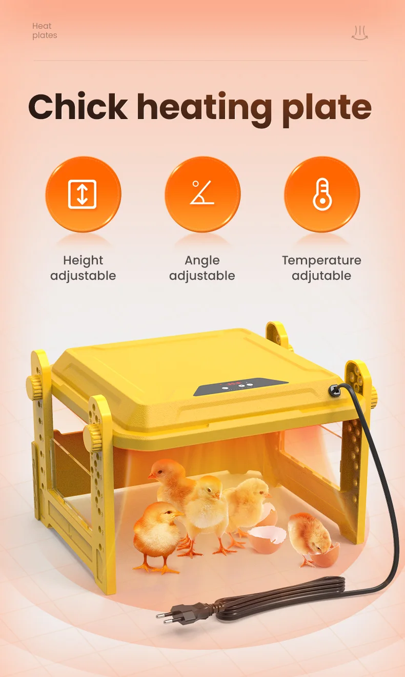 Chick Heater - Adjustable Heating Brooder Plate for Sale