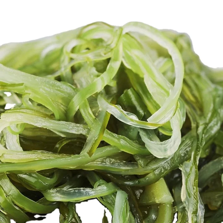 Box Wakame跨境商机分析报告行业外贸出口趋势-阿里巴巴国际中文站官网