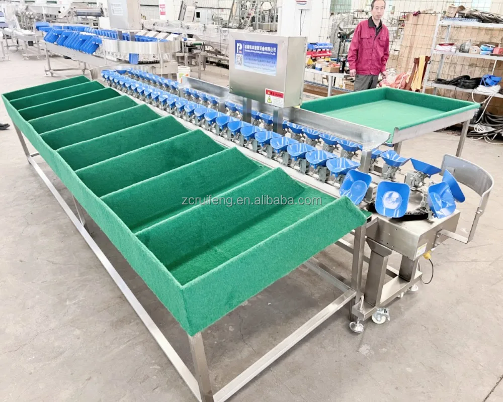 Automatic Chicken Leg Fish Sea Cucumber Weight Sorting Machine Aquatic Processing Equipment ...