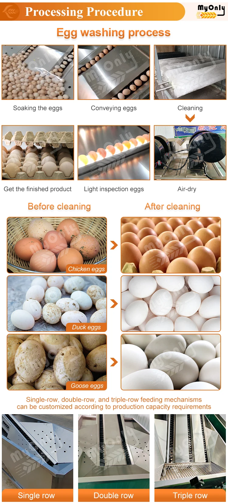 MY Fully Automated Egg Wash Grade Line Egg Clean Machine Chicken Egg ...