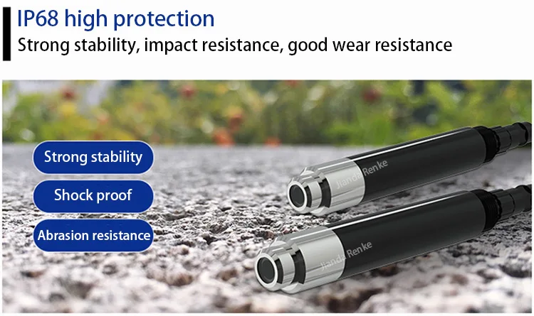 Renke Industrial Dissolved Oxygen Sensor - Reliable & Accurate