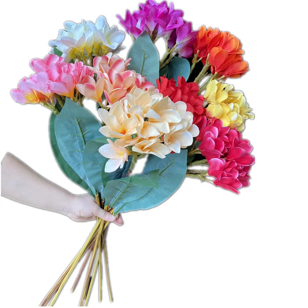 Handmade Artificial Silk Frangipani Simulation Plumeria Rubra Long Stem ...