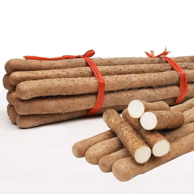 Fresh Chinese Yam - White Yam for Sale from Shandong, China