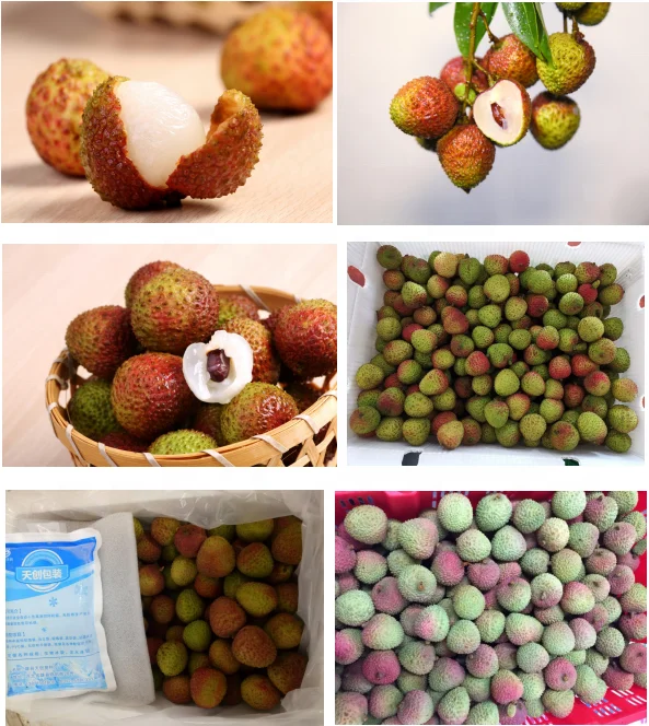 Best Price Chinese Litchi Lychee Fruit Litchi For Sale - Buy Lychee ...